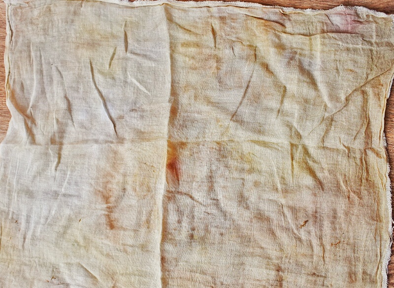 Dahlia flowers and ivy dyeing - Makergardener