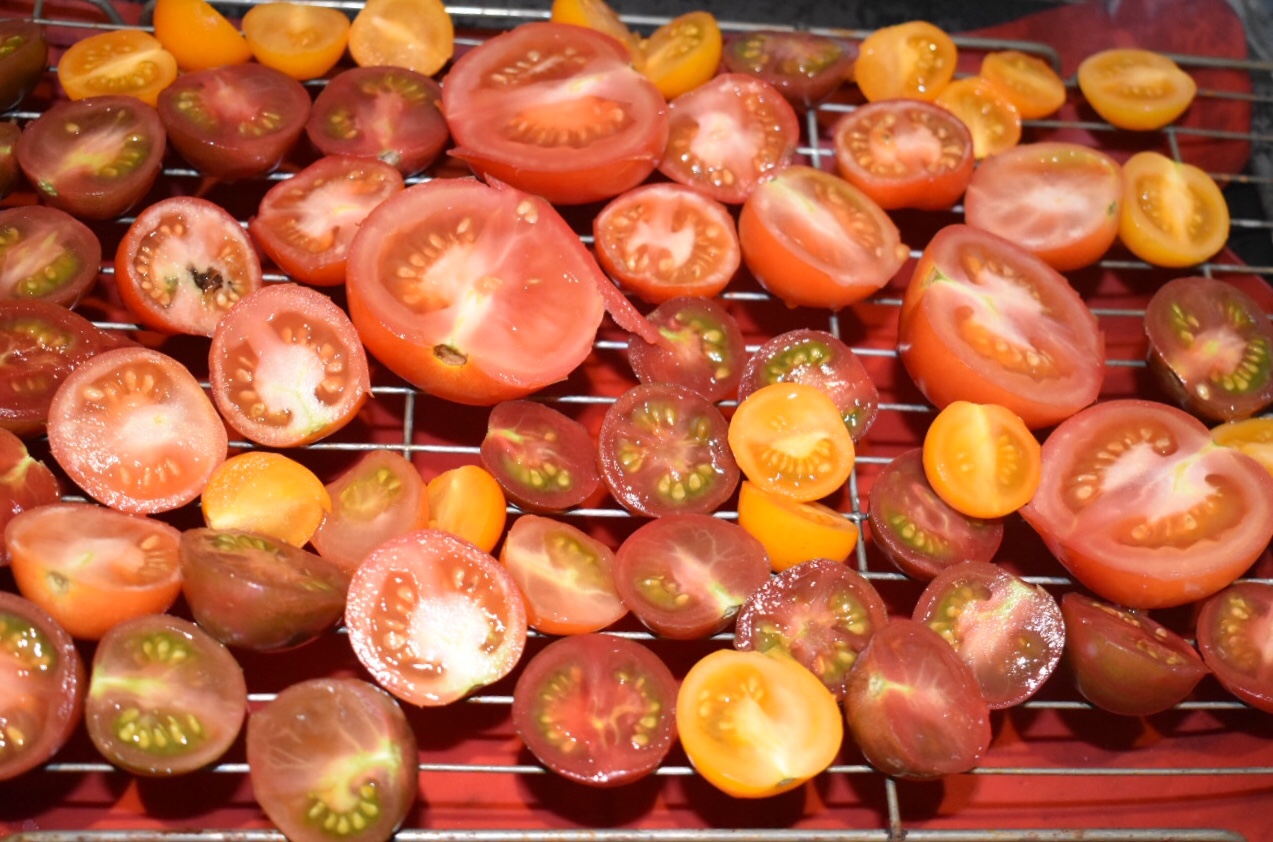 Making sun dried tomatoes - Makergardener
