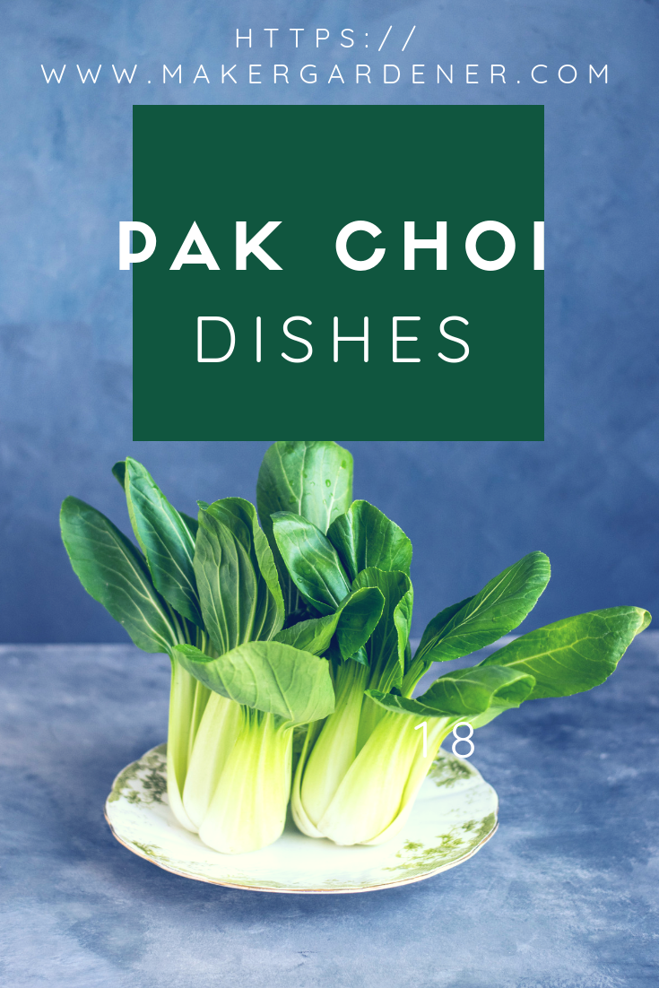 Recipes using pak choi - Makergardener