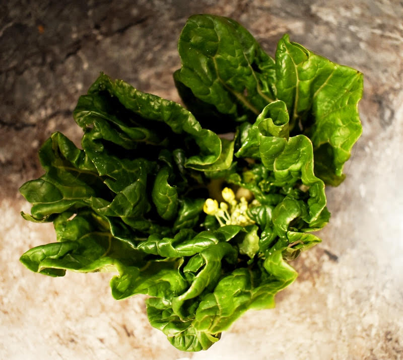 Water bamboo and pak choi stir fry - Makergardener